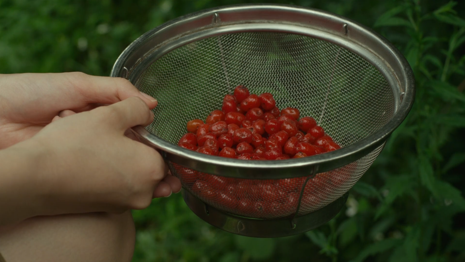 Little Forest: Film Review - INKLINE